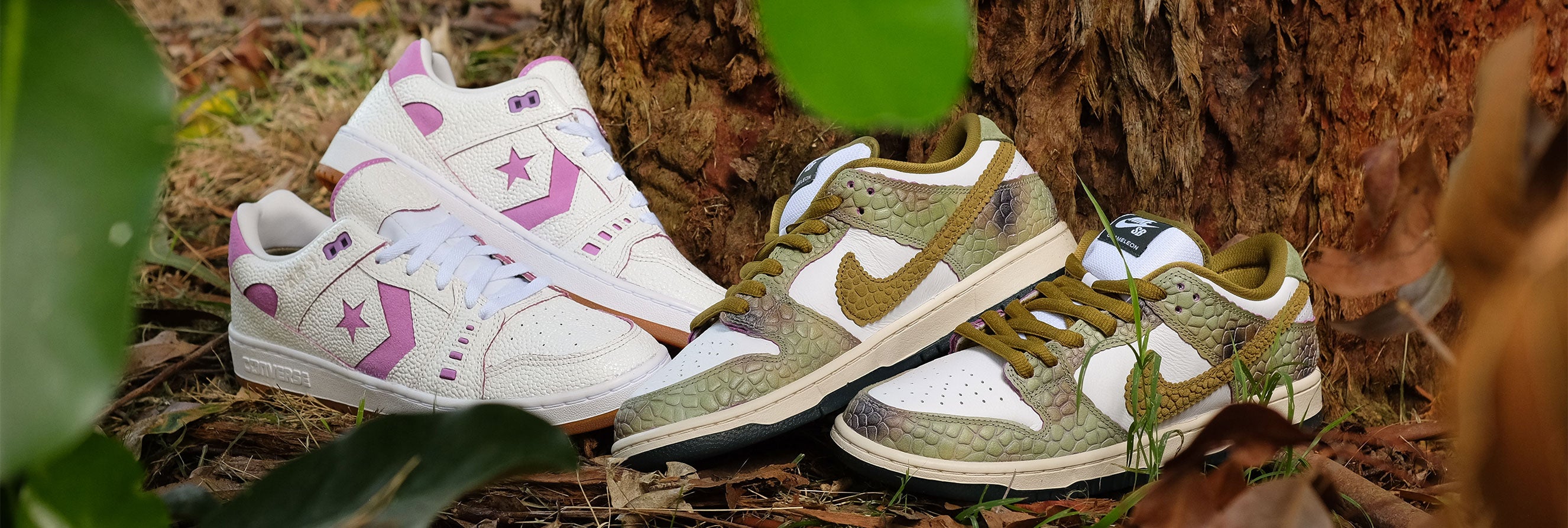 NIKE SB DUNK LOW PRO CHAMELEON | BOARDERTOWN NZ
