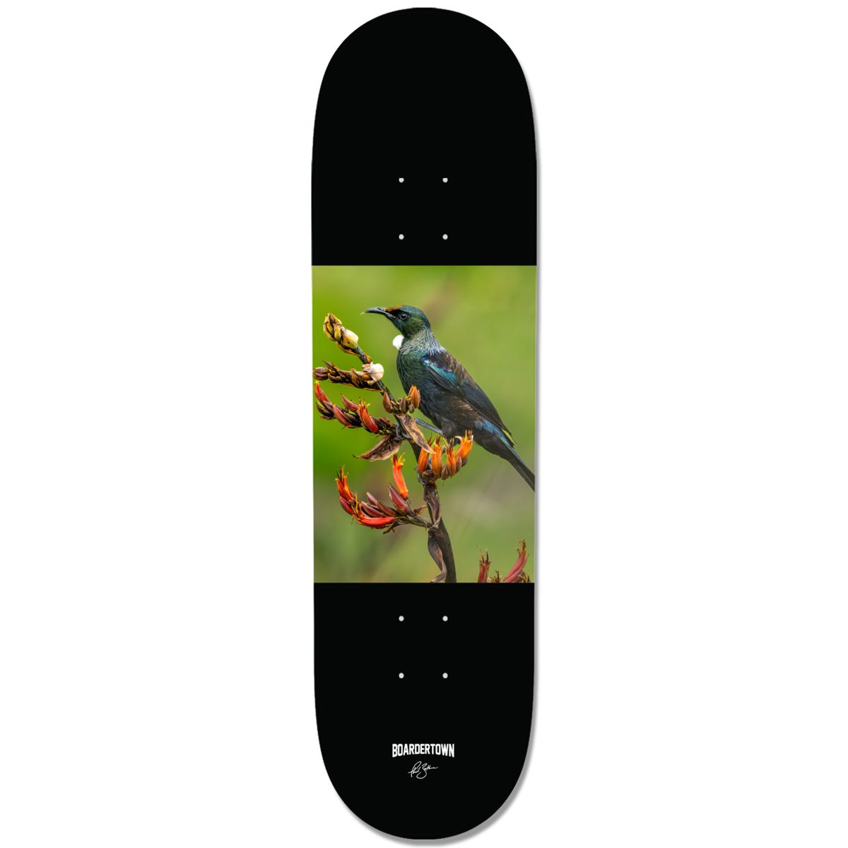 Boardertown x Phil Botha Natives Skateboard Deck in Tui | Boardertown
