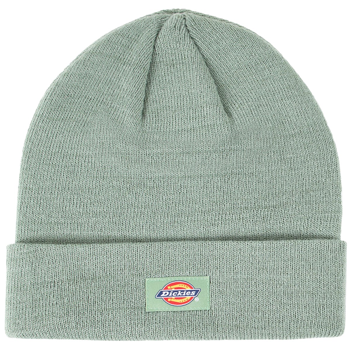Dickies Classic Label Beanie in Green | Boardertown