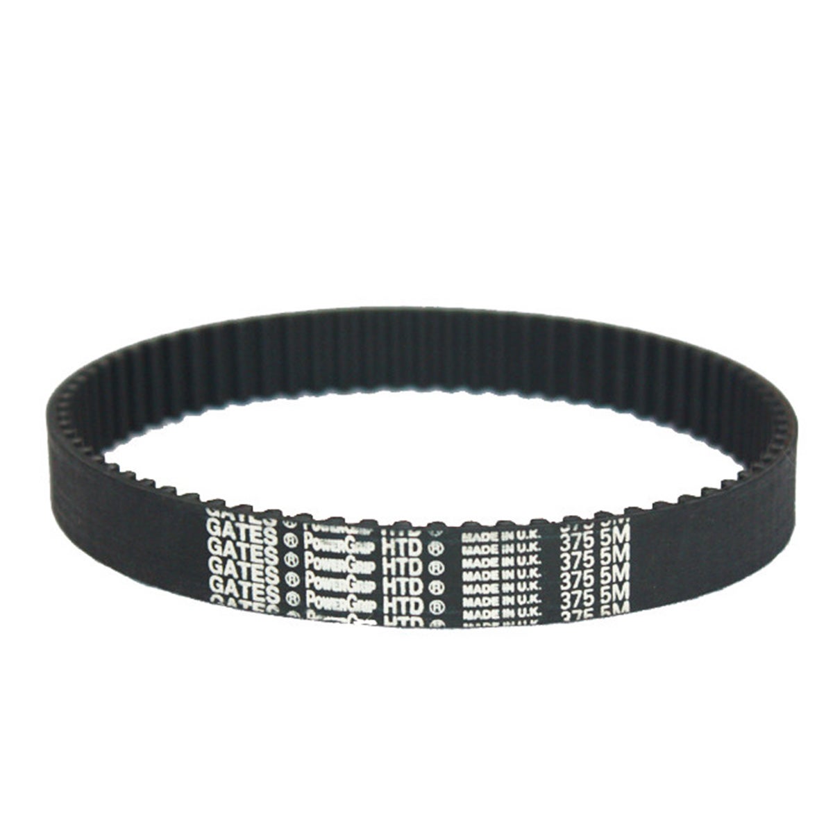 Evolve GT Series Belt in Black | Boardertown